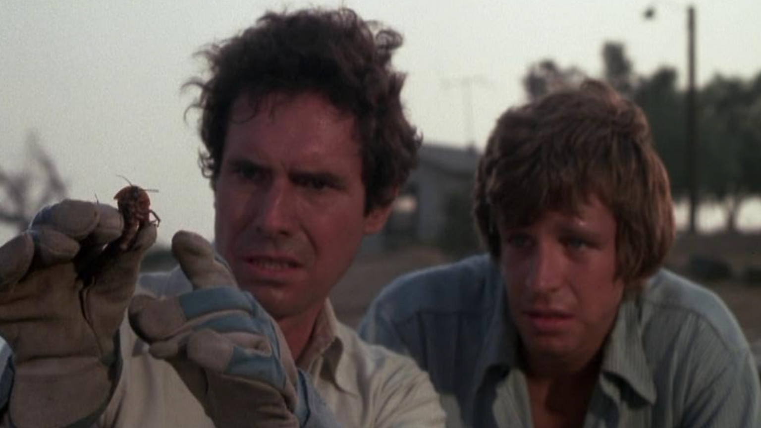 21 Must-Watch Horror Movies With Aggressive Animals - movie nights and ...