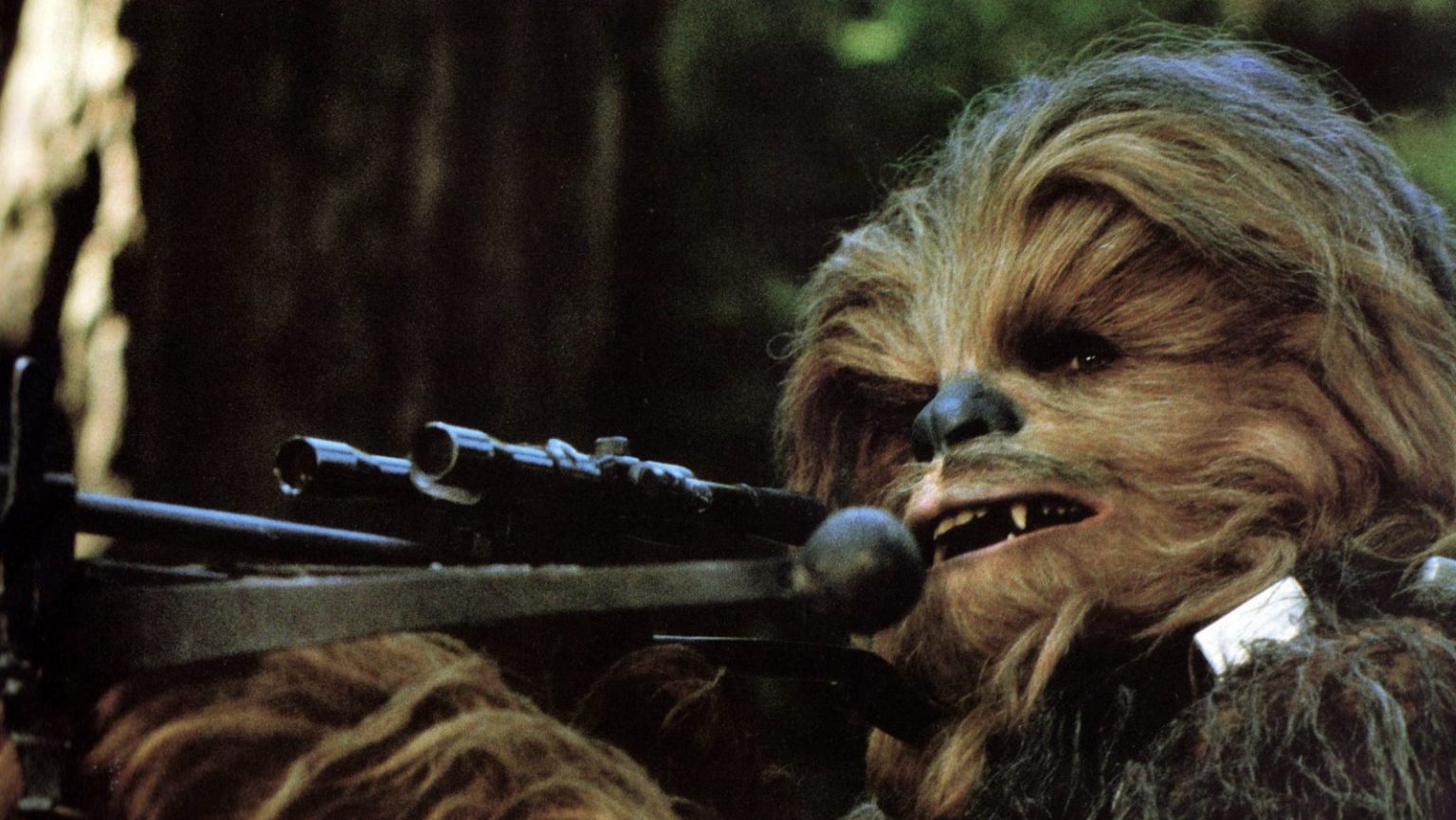 The 21 Best Animal Sidekicks in Media - movie nights and sleepovers