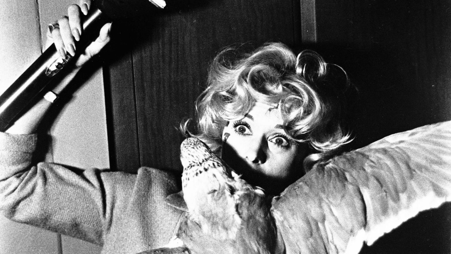21 Must-Watch Horror Movies With Aggressive Animals - movie nights and ...
