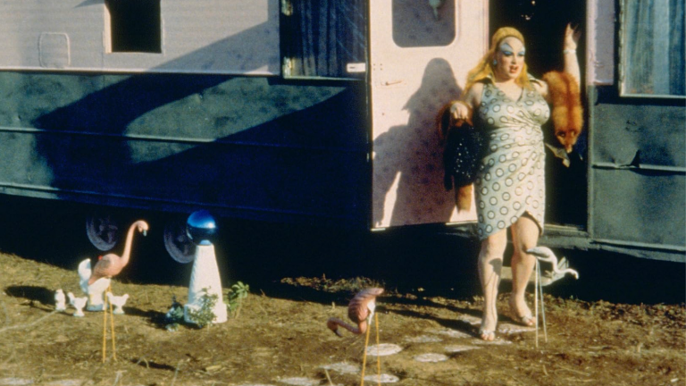 20 of the Best Midnight Cult Movies - movie nights and sleepovers